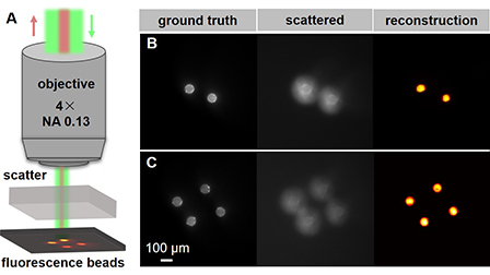 Structure-boosted de-scattering reconstruction framework for high ...