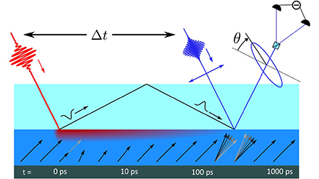 Large strain contribution to the laser-driven magnetization response of ...