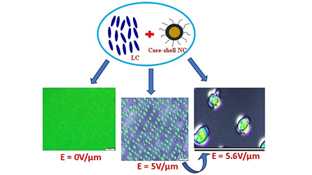 Electric field-induced self-assembly of multiferroic core-shell ...