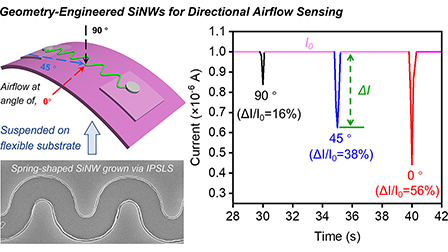 Geometry-engineered spring-shaped silicon nanowires for directional ...