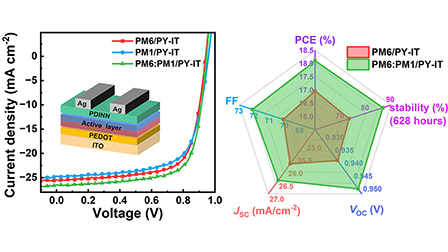 High-efficiency ternary layer-by-layer all-polymer solar cells enabled by a dual-donor alloy ...