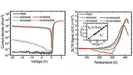 Beyond a single mechanism: Uncovering the dual origin of degradation in ...