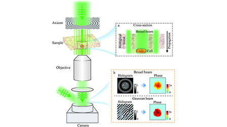 Bessel beam illuminated digital holographic microscopy for anti ...
