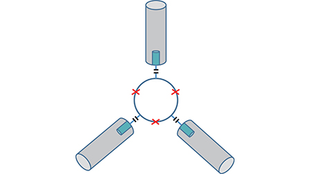 One-step implementation of a hybrid discrete-variable–continuous ...