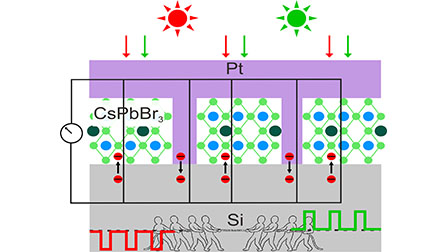 Linearly tunable bipolar photoresponse in parallel-architecture all ...