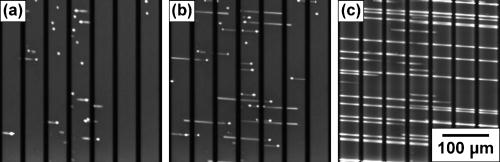 Stacking fault formation in SiC p-i-n diodes of (11-20) orientation ...