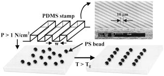 Solventless ordering of colloidal particles through application of ...