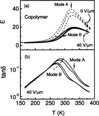 Dielectric behavior of electroactive fluorinate-based polymers under dc ...