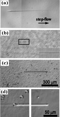 Cross-sectional structure of carrot defects in 4H–SiC epilayers ...