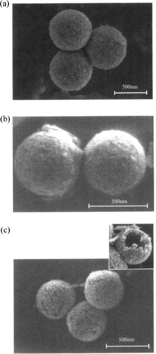 Preparation and magnetic properties of hollow nano-spheres of cobalt ...