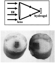 Laser writing of semiconductor nanoparticles and quantum dots | Applied ...