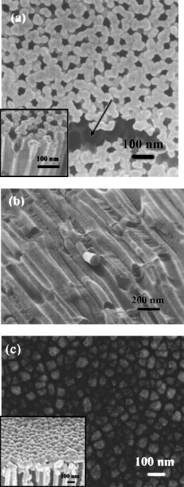 Electron field emission from various morphologies of fluorinated ...