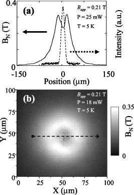 Optically patterned nuclear doughnuts in GaAs∕MnAs heterostructures ...
