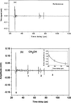 Direct observation of coherent rotational excitation, dephasing and ...