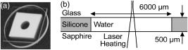 Two-dimensional colloidal crystals formed by thermophoresis and ...