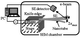 Carbon nanotube oscillators toward zeptogram detection | Applied ...