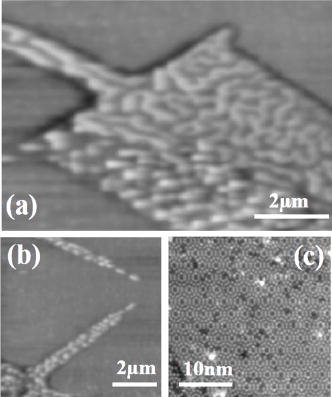 Scanning tunneling microscopy characterization of low-profile ...