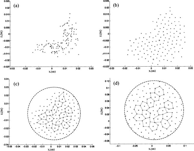 Self-expansion patterns of charged particulates and ionic assemblies ...
