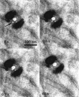 Evolution of the defect structure in helium implanted SiGe∕Si ...