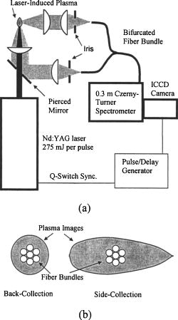 Effects of focal volume and spatial inhomogeneity on uncertainty in ...