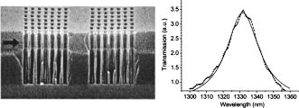 Electro-optically tunable photonic crystals | Applied Physics Letters ...