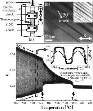 Thermoelastic effect induced by ferroelastic domain switching | Applied ...