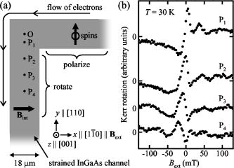 Electrical initialization and manipulation of electron spins in an L ...