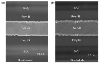 Observation of interfacial void formation in bonded copper layers ...