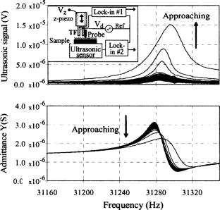 Investigation of the probe-sample interaction in the ultrasonic/shear ...