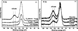 Initial reaction of hafnium oxide deposited by remote plasma atomic ...