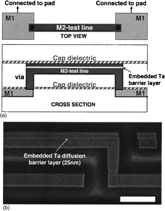 Confinement of electromigration induced void propagation in Cu ...
