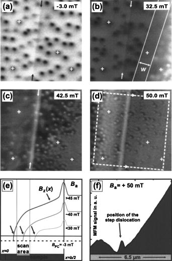 Observation of the flux-antiflux boundary propagation during magnetization reversal in ...