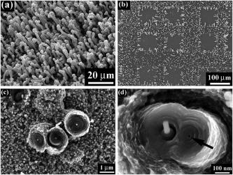 Selective growth of graphite micro-rods with SiO2 nanowire cores by ...
