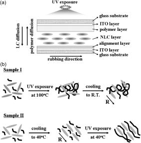 Liquid crystal alignment with a molecular template of imprinted polymer ...