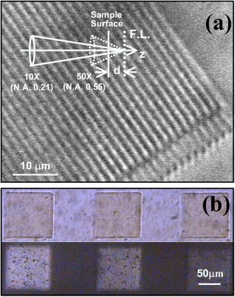 SnO2 nanoparticles in silica: Nanosized tools for femtosecond-laser ...