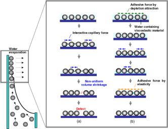 Fabrication of robust, high-quality two-dimensional colloidal crystals ...