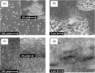 Role of titanium and silicon dioxide in amorphous silicon nanowire growth by solid state ...