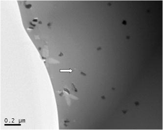 Solid state dendrite formation in an amorphous magnetic Fe77.5Si13.5B9 ...
