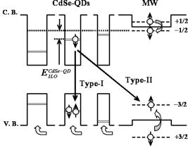 Efficient spin injection into self-assembled quantum dots via LO-phonon ...