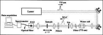 Two-photon absorption cross-section spectrum of a π-conjugated polymer ...
