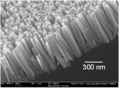 Wurtzite GaN nanocolumns grown on Si(001) by molecular beam epitaxy ...