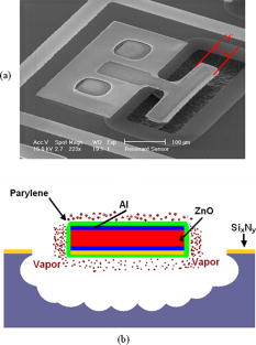 Femtogram mass sensing platform based on lateral extensional mode ...
