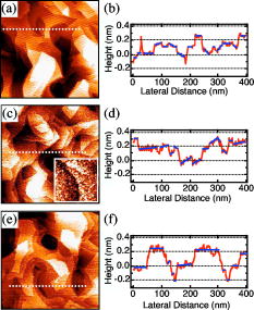 Microscopic structures of MgO barrier layers in single-crystal Fe∕MgO∕ ...