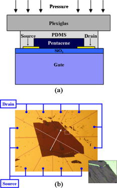 Anisotropic field effect mobility in single crystal pentacene | Applied ...