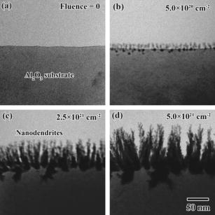 Compound nanostructures formed by metal nanoparticles dispersed on ...
