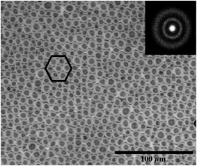 Single-substrate cholesteric liquid crystal displays by colloidal self ...