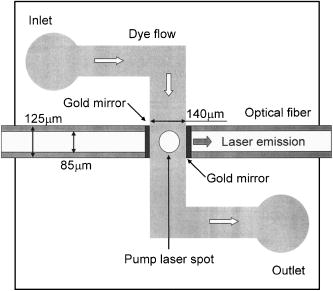 Collinear dual-color laser emission from a microfluidic dye laser ...