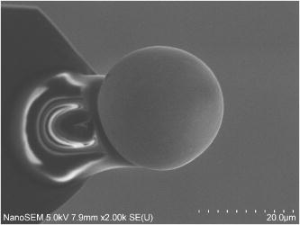 Quantification of the meniscus effect in adhesion force measurements ...
