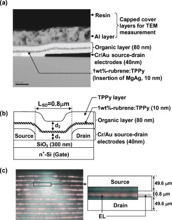 Estimation of carrier recombination and electroluminescence emission ...