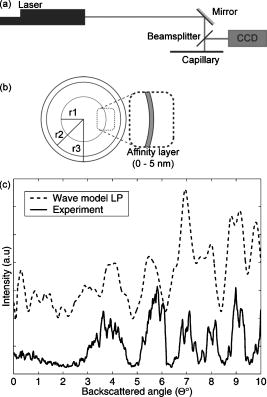 Highly sensitive biosensing based on interference from light scattering ...